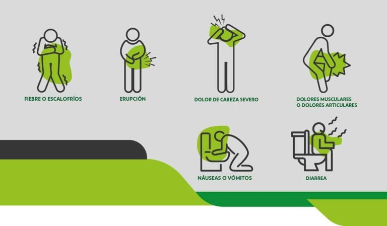 Panel Arbovirus por PCR Referencia Laboratorio Clínico