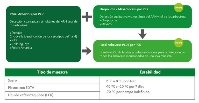 Panel Arbovirus por PCR Referencia Laboratorio Clínico